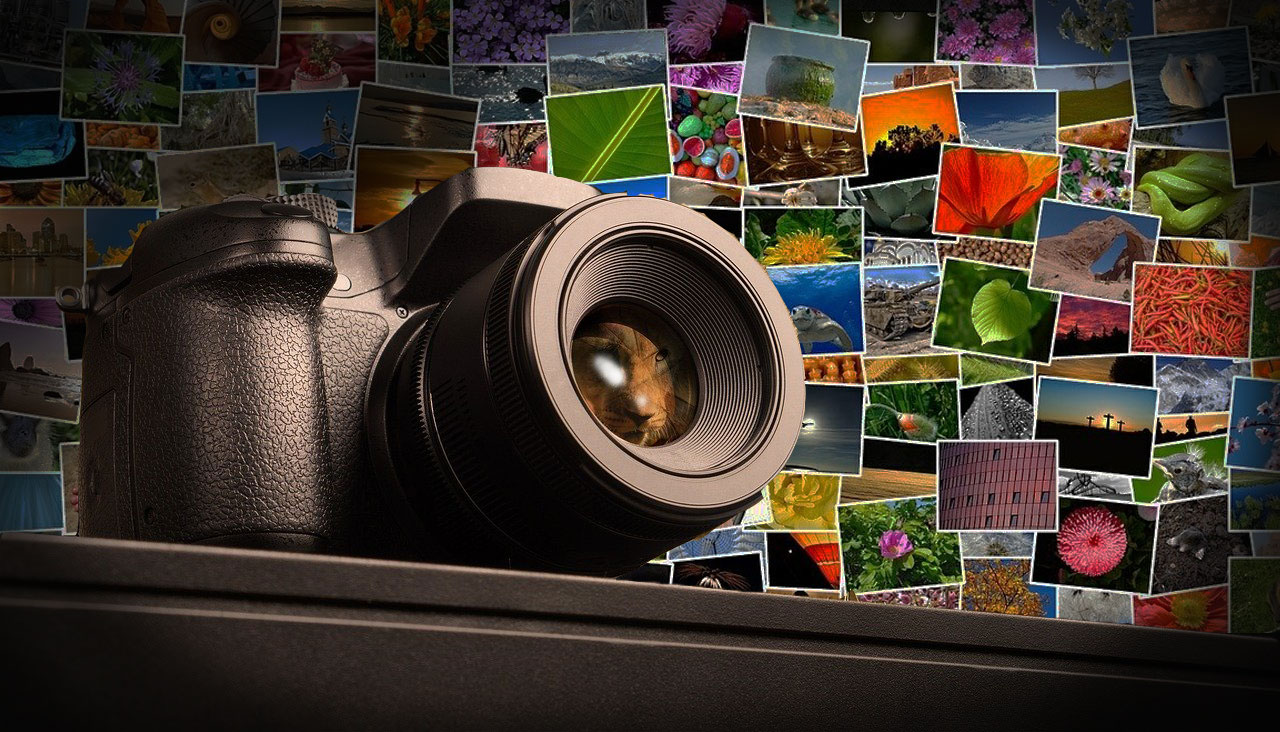 17 Best Slideshow Software Of 2022 Free Paid Online